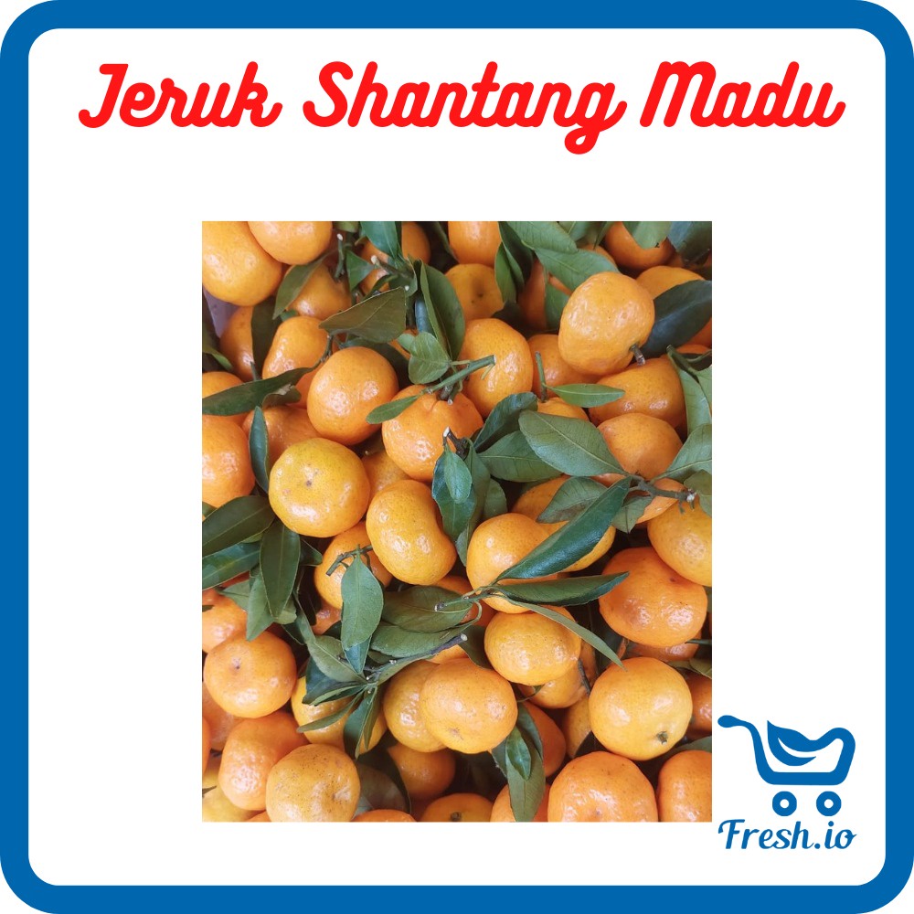 Jual Jeruk Shantang Madu | Shopee Indonesia