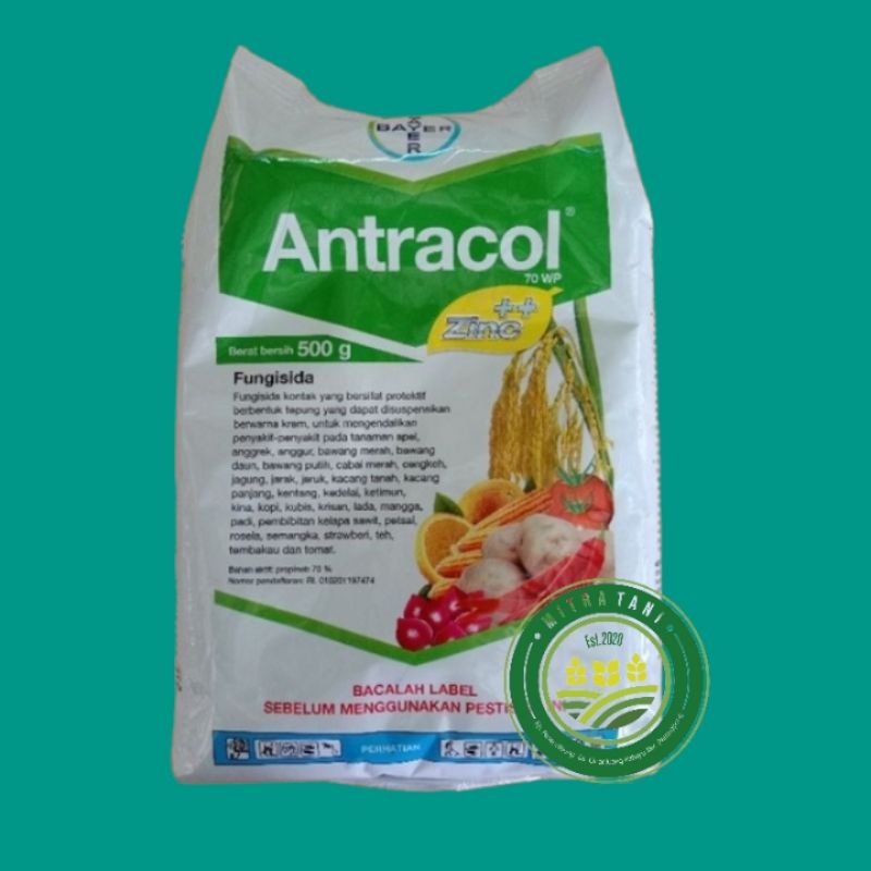 Jual FUNGISIDA ANTRACOL 70 WP 500 GRAM PT BAYER INDONESIA | Shopee ...