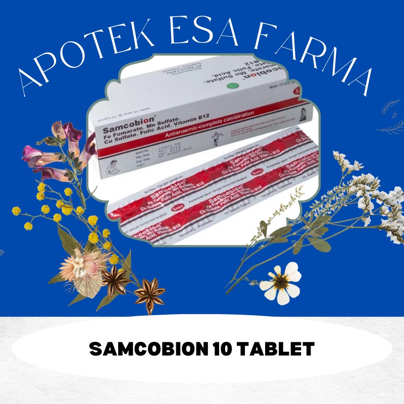 Jual SAMCOBION 10 kapsul- Vitamin Tambah Darah & Mineral | Shopee Indonesia
