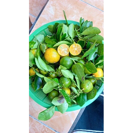 Jual JERUK KASTURI 500GR || JERUK SONKIT CINA CUI KASTURI JERUK MINUMAN ...