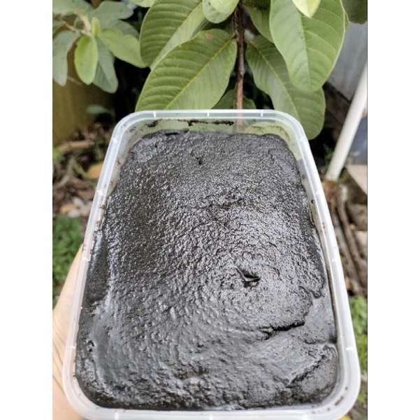 Jual BEDA LOTONG BASAH, LULUR REMPAH 1KG | Shopee Indonesia