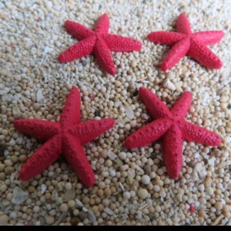 Jual Topper Bintang Laut, Topper Kerang Laut, Hiasan kue Tema Laut ...