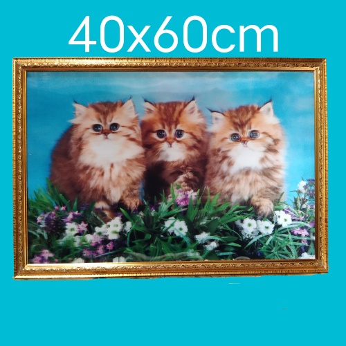 Jual Gambar 3 dimensi kucing dan bingkai fiber ukuran 40x60cm | Shopee ...