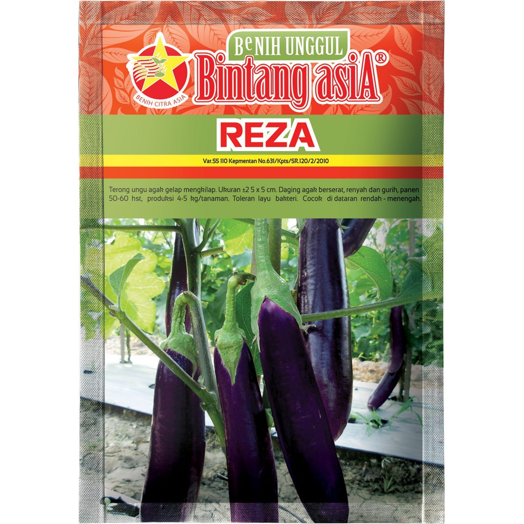 Jual Benih Terong ungu REZA 10 Gr - bibit terong Bintang Asia | Shopee ...