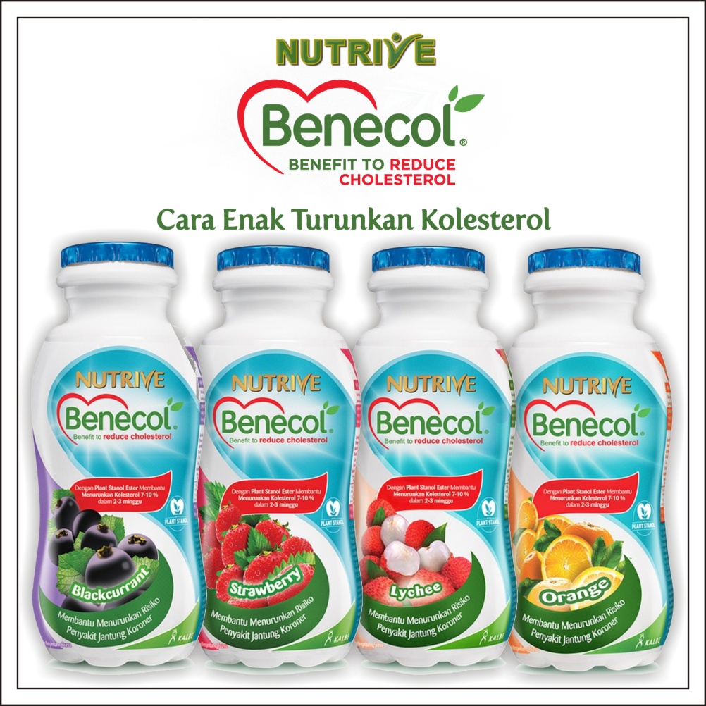 Jual NUTRIVE BENECOL / Penurun Kolesterol (1 pak isi 6botol) | Shopee Indonesia