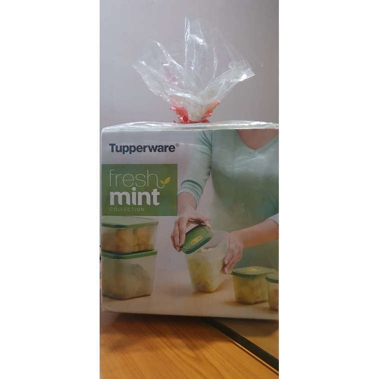 Jual Freezermate Fresh Mint Collection Tupperware (Isi 4 Free Box ...