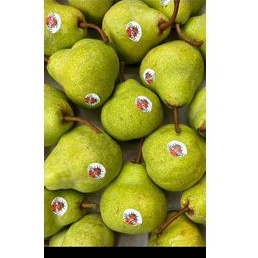 Jual Pear Packham pir Australia | Shopee Indonesia