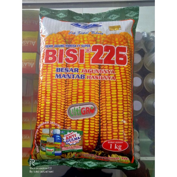 Jual Benih Jagung Hibrida F1 Super BISI 226 ULTIGROW. Besar Jagungnya ...