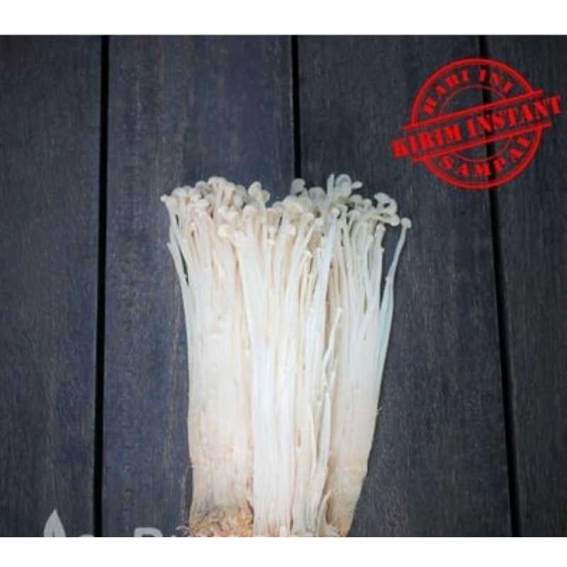 Jual Jamur Enoki / Enokitake [1 pack] | Shopee Indonesia