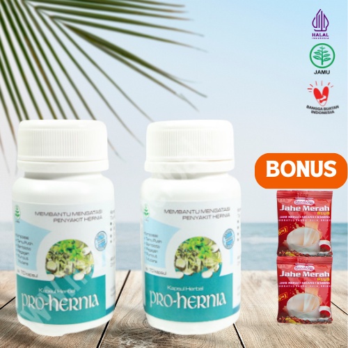 Jual Obat Hernia atau Turun Bero Dengan Kapsul Pro Hernia Alami ...