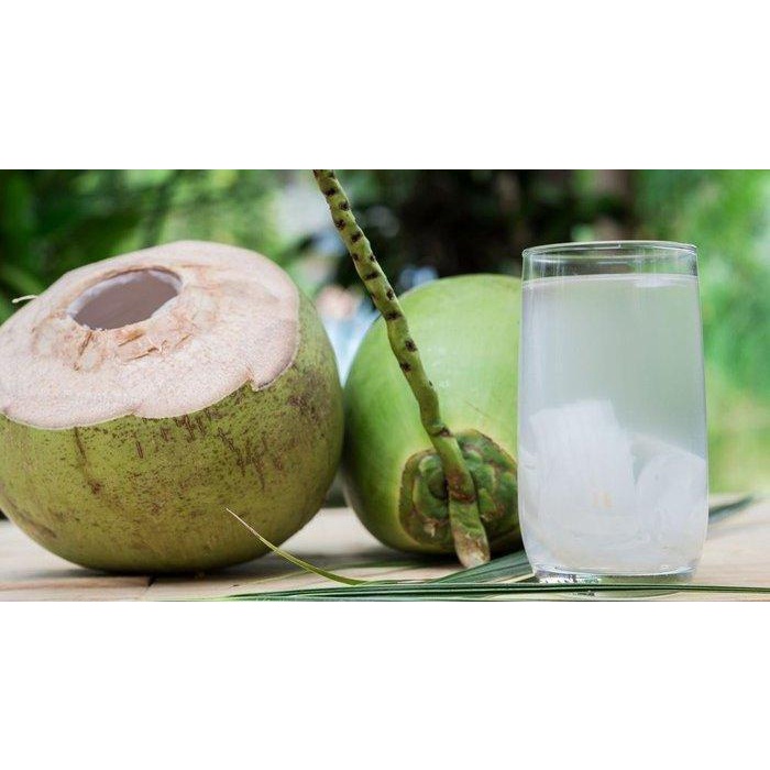 Jual Kelapa Muda/Degan/Dawegan - Buah Segar dan Kaya Manfaat | Shopee Indonesia
