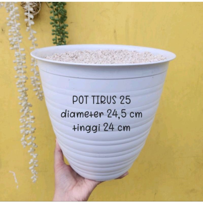 Jual Pot 25Cm Dan Pot Coral (Sudah Ada Batu, Busa Dan Semen) | Shopee ...