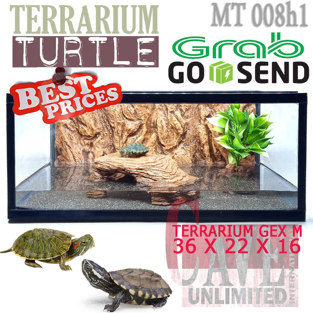 Jual MT008H1 TERRARIUM AKUARIUM KANDANG REPTILE KURA KURA AIR TURTLE RES BRAZIL KURA AMBON ...
