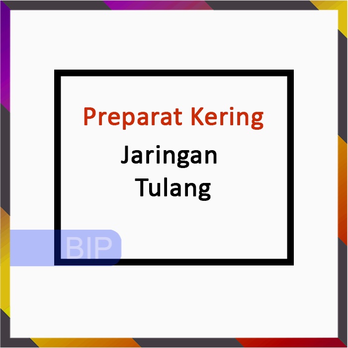 Jual PREPARAT KERING JARINGAN TULANG | Shopee Indonesia