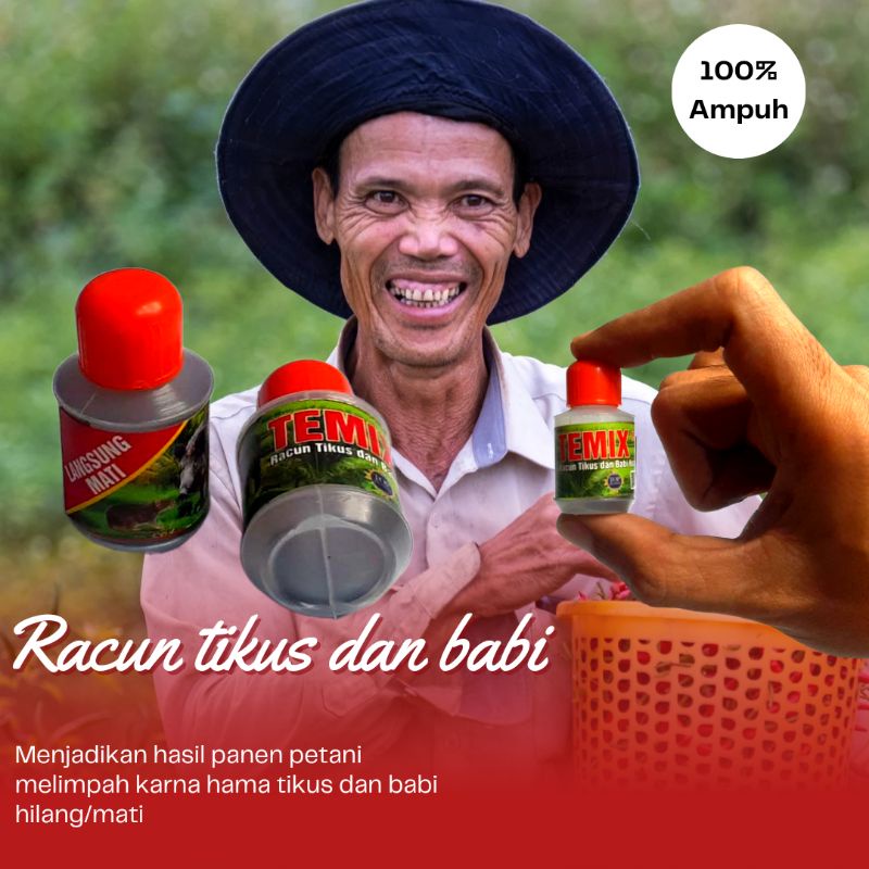 Jual Racun Hama Tikus & Babi Hutan Ampuh | Membasmi Hama Tikus & Babi ...