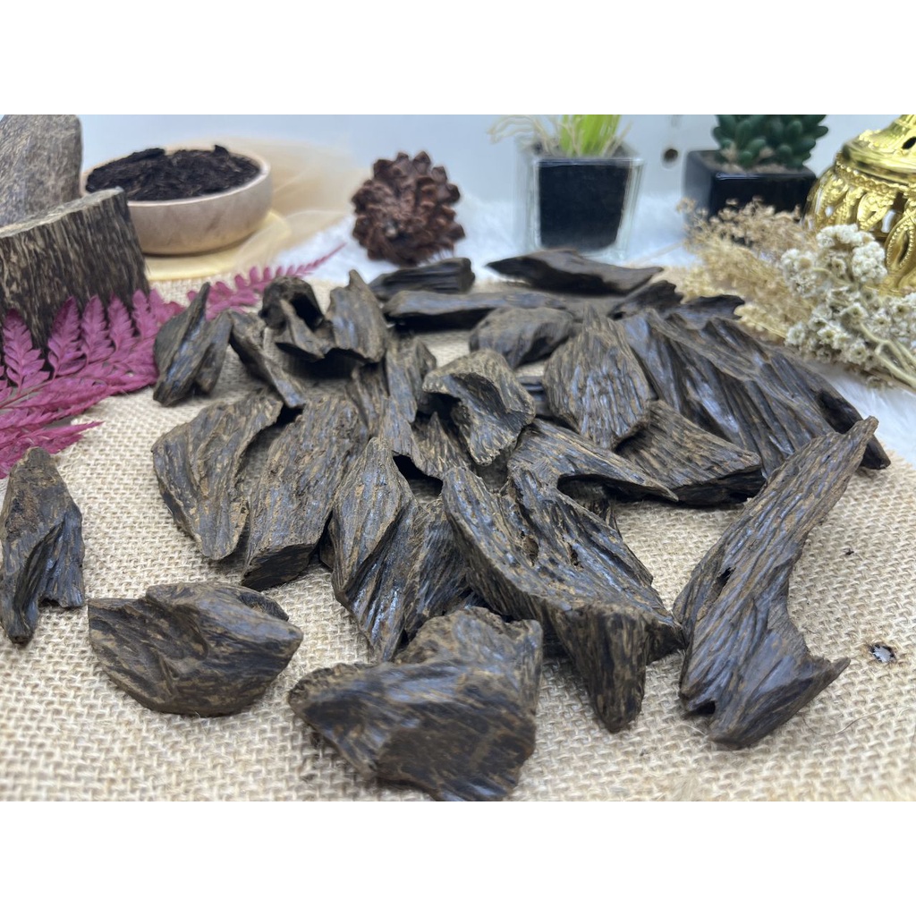 Jual KAYU GAHARU MOHASSAN SANAI TUNGGUL KALIMANTAN/GAHARU OUD AGARWOOD | Shopee Indonesia