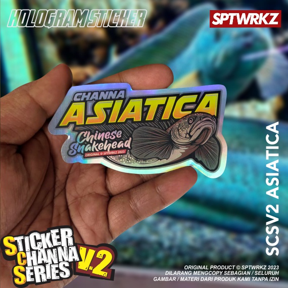 Jual STIKER IKAN HIAS PREDATOR CHANNA SERIES HOLOGRAM | Shopee Indonesia