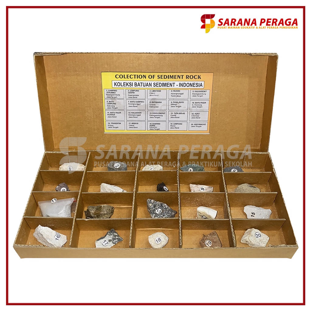 Jual SaranaPeraga - Batu Batuan Sedimen - Alat Peraga IPS | Shopee ...