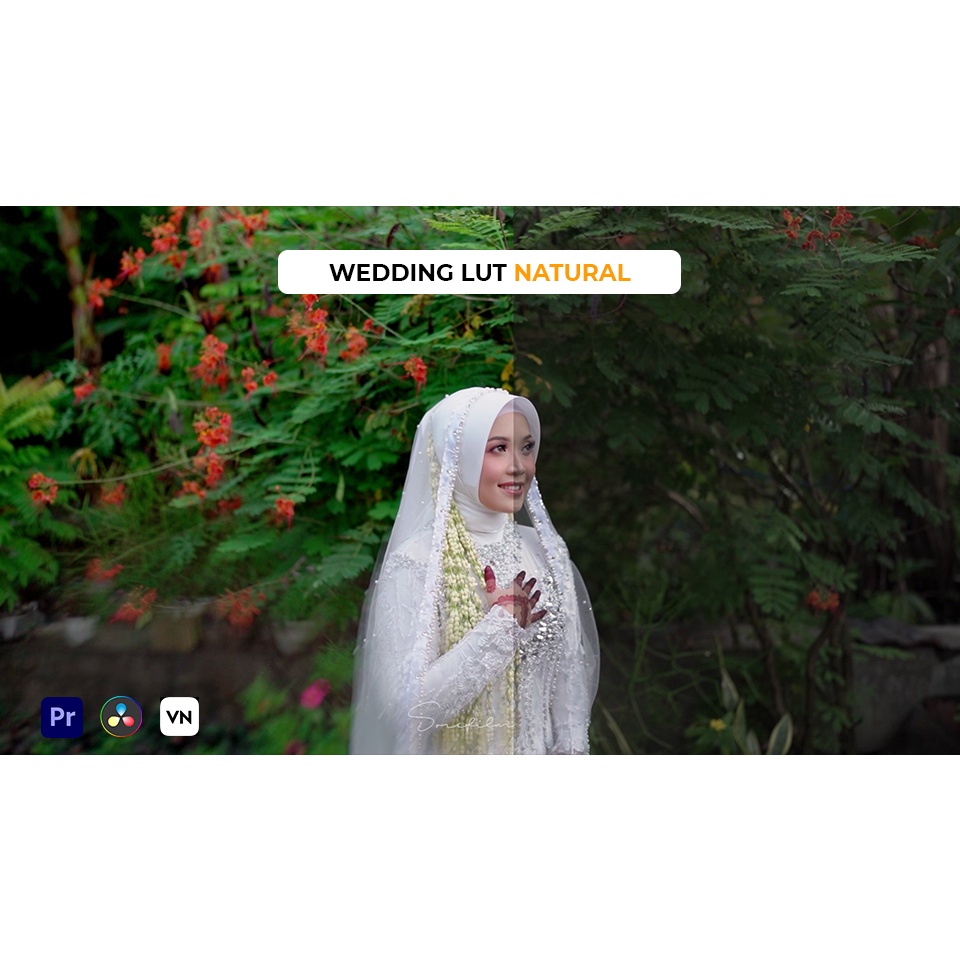 Jual Wedding LUT Natural untuk Adobe Premiere Pro VN dan Davinci Resolve | Android iOS PC ...