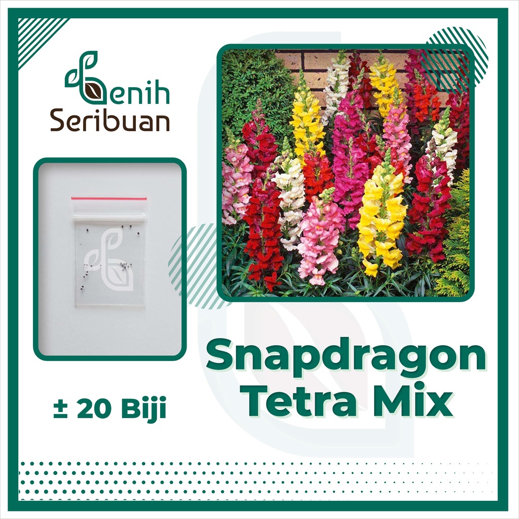 Jual 20 Biji - Benih Bunga Snapdragon Tetra Mix Warna Bibit Tanaman ...