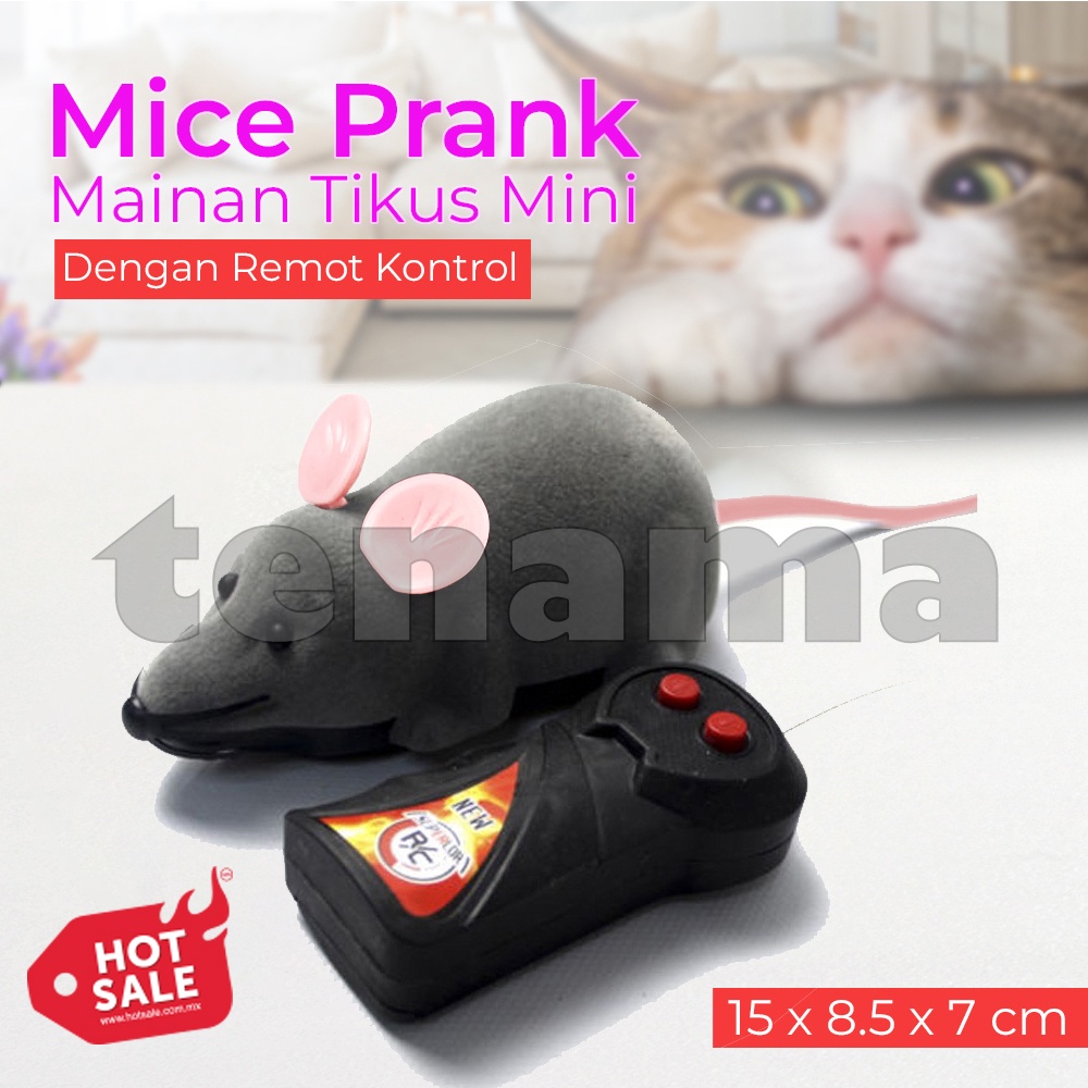 Jual Mainan Remote Control Bentuk Tikus Mini | Shopee Indonesia