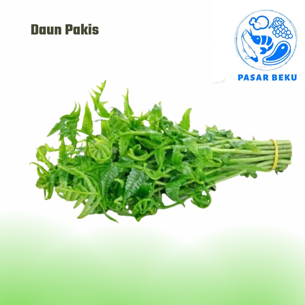 Jual Daun Paku Pakis Segar Per-Ikat 150gr Pasar Beku Padang | Shopee ...