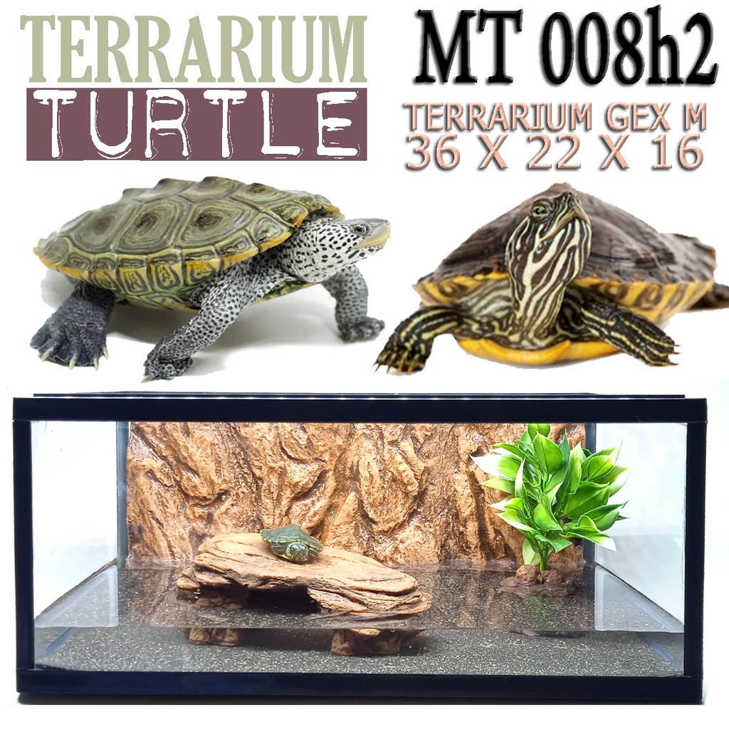 Jual MT008H2 AQUARIUM TERRARIUM REPTILE KANDANG TURTLE KURA KURA AIR RES BRAZIL KURA AMBON RAZOR ...