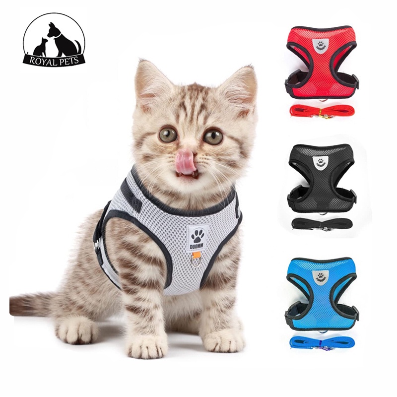 Jual ROYAL PET PARADISE Tali Kucing Tuntun Harness Kucing Anjing ...