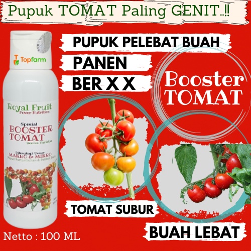 Jual Pupuk Cair Khusus Tomat 100 ML / Pupuk Organik Cair Tomat / Pupuk Cair Pembesar Buah Tomat ...