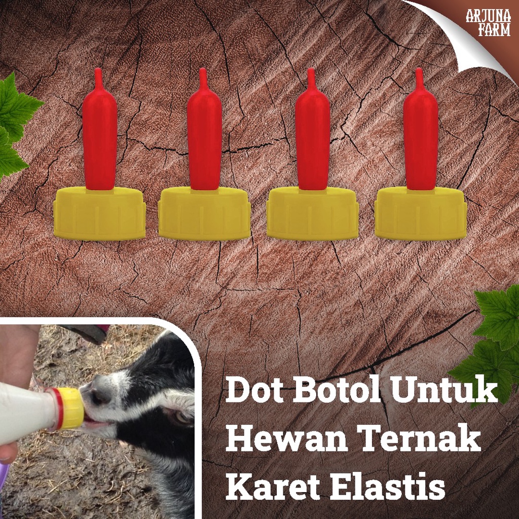 Jual Dot Cempe Kambing Dot Anjing Dot Kucing Dot Hewan Kecil | Shopee ...