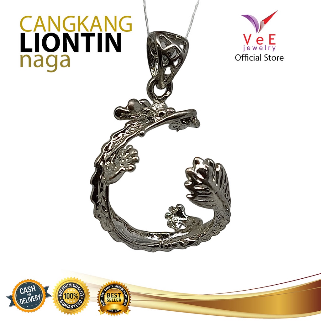 Jual Cangkang Rumah Liontin Lilitan Naga Batu 20mm - VeE Liontin ...
