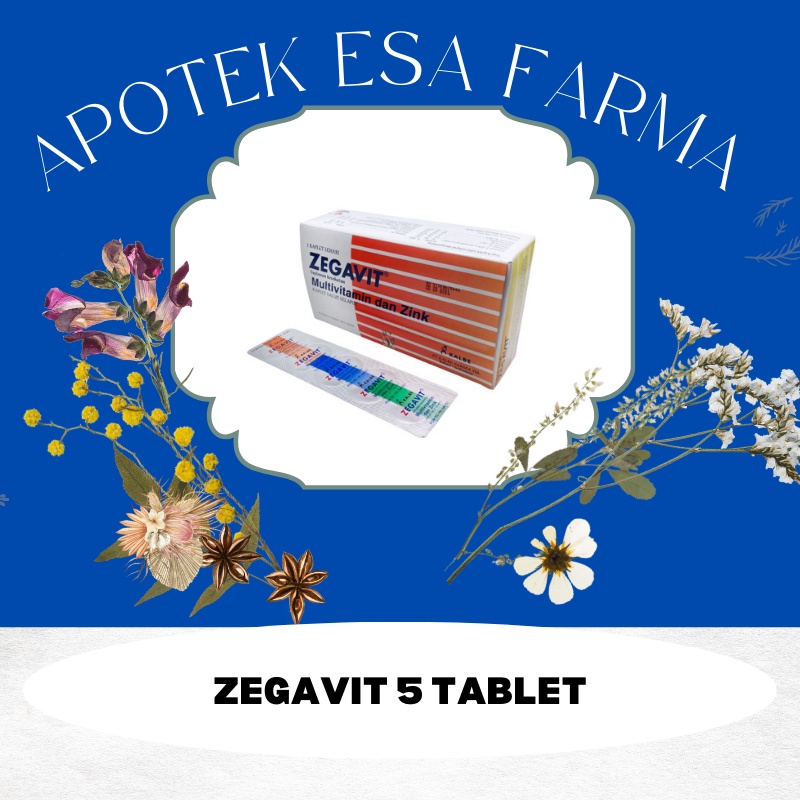 Jual ZEGAVIT MULTIVITAMIN DAN ZINK - 1 BOX ISI 10 STRIP | Shopee Indonesia