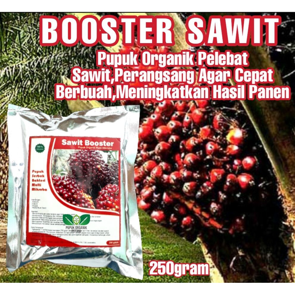 Jual Pupuk Organik Booster Pelebat Tanaman Sawit Agar Cepat Berbuah Lebat Perangsang kelapa ...