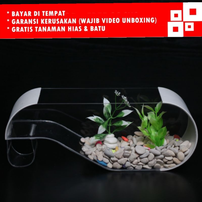 Jual aquarium unik kura akrilik pvc kekinian milenial ikan kura kura ...