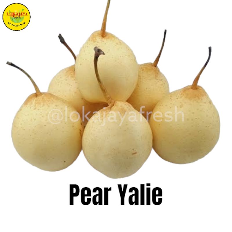 Jual Pear Yalie Pir Yali Manis 1 Pack | Shopee Indonesia