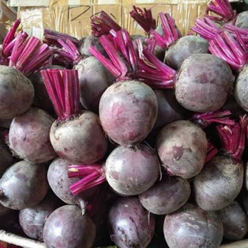 Jual Buah beet/Bit Segar 1 kg (Buah Segar) | Shopee Indonesia