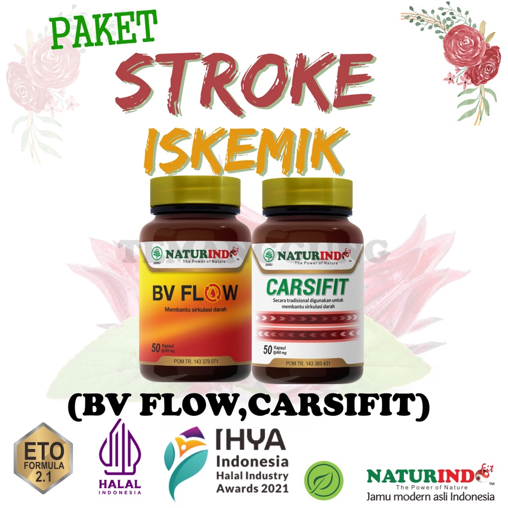 Jual obat stroke setrok ampuh herbal cina angkung ringan berat mati ...