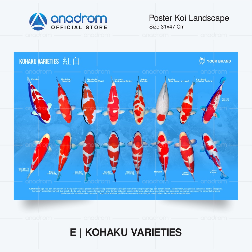 Jual Poster & Stiker Ikan Koi Landscape I Poster Koi Varieties | Poster ...