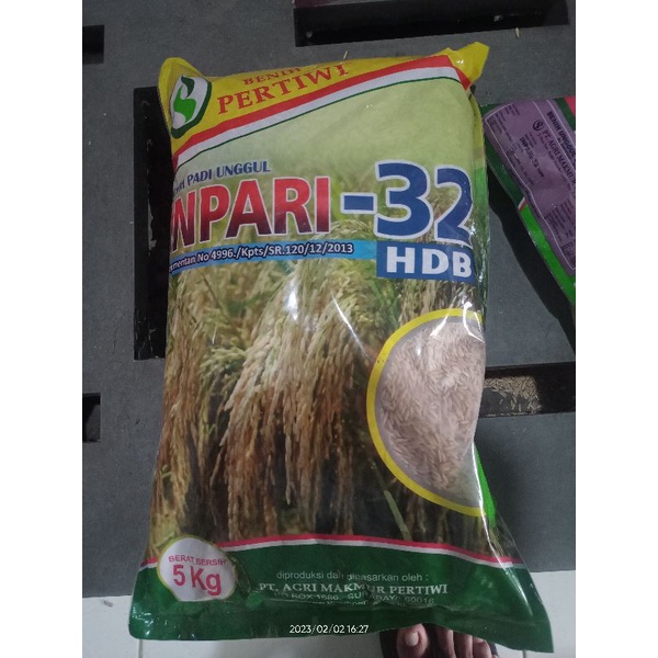 Jual BENIH PADI INPARI 32 PERTIWI ORIGINAL | Shopee Indonesia