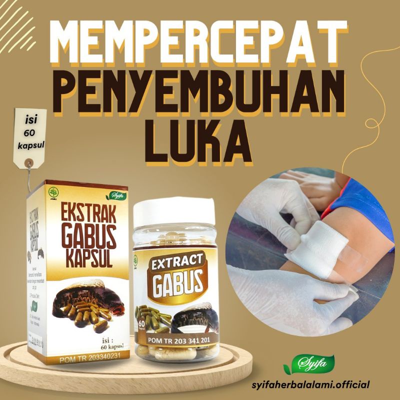 Jual Ekstrak Gabus Kapsul Kutuk Albumin Penyembuh Pengering Luka ...