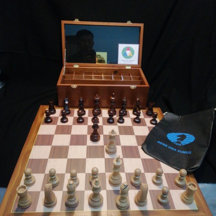 Jual 1 Set Catur Koleksi Terbaik Bidak Kayu Doff + Kotak Eksklusif ...