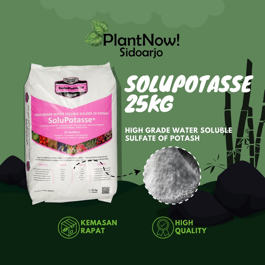 Jual Pupuk Kalium Sulfat SOP/ZK SOLUPOTASSE Highgrade 25 kg | Shopee ...
