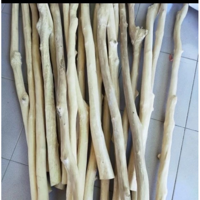 Jual Terbaik Kayu kopi lurus panjang 100cm -120cm untuk tangkringan ...