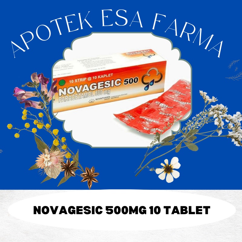 Jual NOVAGESIC 500 ISI 10 tab per STRIP | PARACETAMOL 500 MG | Shopee ...