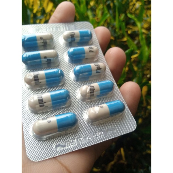 Jual VIPALMBUMIN ORIGINAL | PIL IKAN GABUS | PIL IKAN KUTUK | Shopee ...