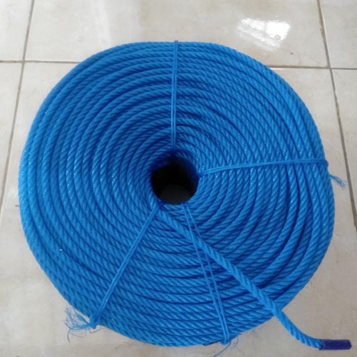 Jual Tali Tambang Tampar Nilon 6 mm 1 Roll ( 4 Kg ) +- 200 meter | Shopee Indonesia