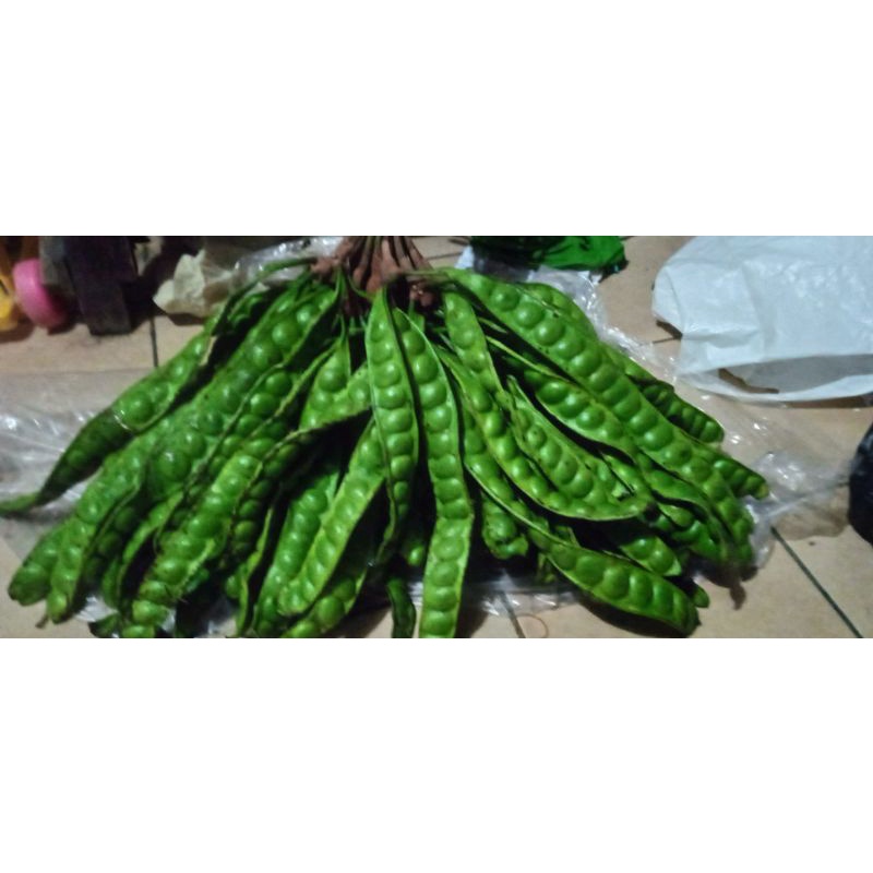 Jual Pete ,peteuy ,petai | Shopee Indonesia