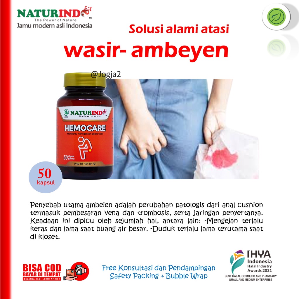 Jual Obat Ambeyen Wasir Ambeien BAB Benjolan di Anus Ambeien Hemoroid Hemocare Naturindo ...
