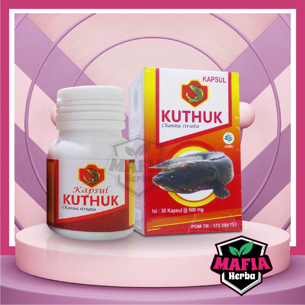 Jual Kapsul Kutuk Ikan Gabus Kapsul Kuthuk Ekstrak Albumin Pengering Luka Pasca Operasi Dan ...