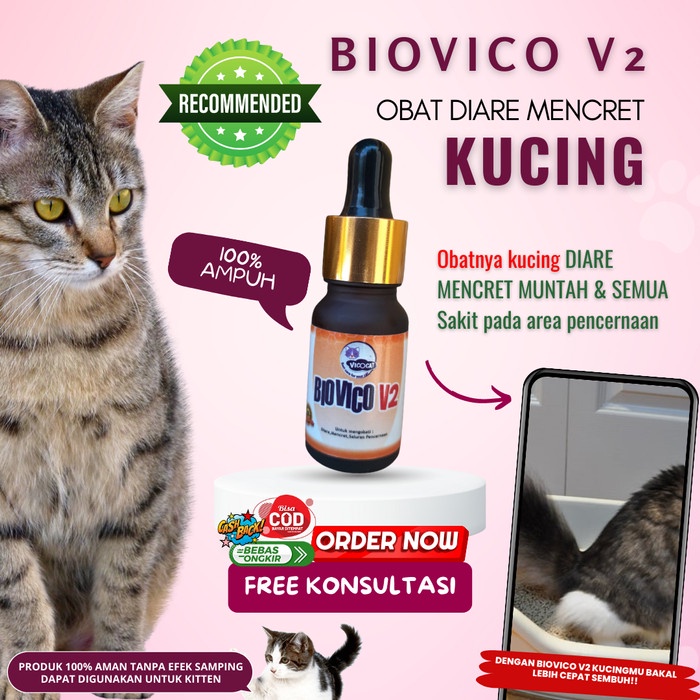Jual Obat Mencret dan Saluran Pencernaan Kucing Biovico V2 Ampuh ...